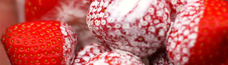 Quand l’Espagne ramène sa fraise, ce fruit renie son histoire