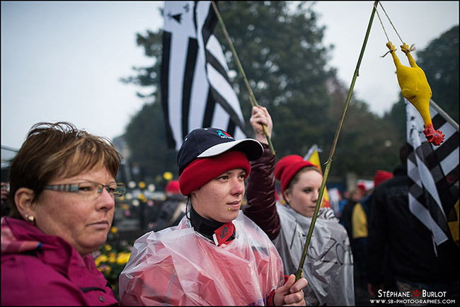 Dans la manifestation des bonnets rouges à Quimper