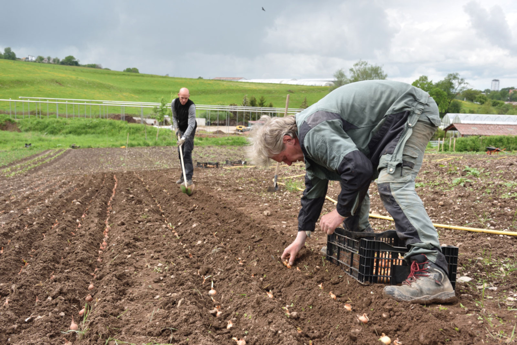 La révolution par l’assiette - POLITIS