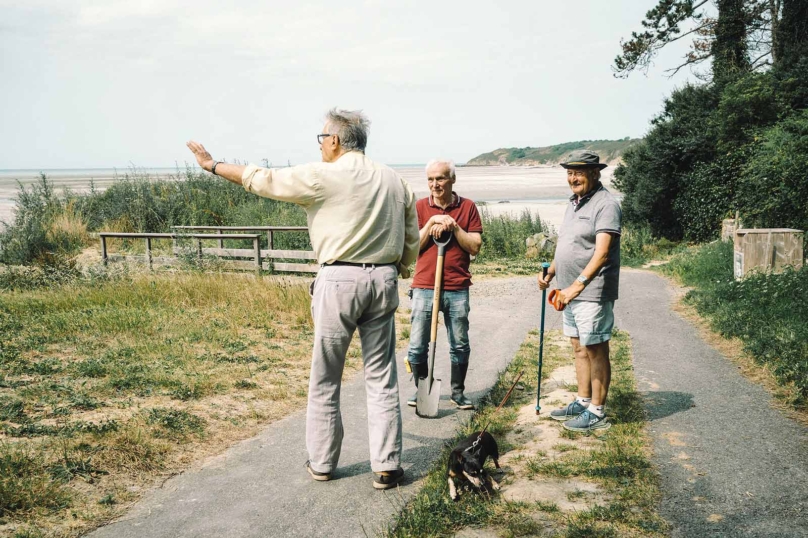 Les algues vertes, fossoyeuses du vivant - POLITIS