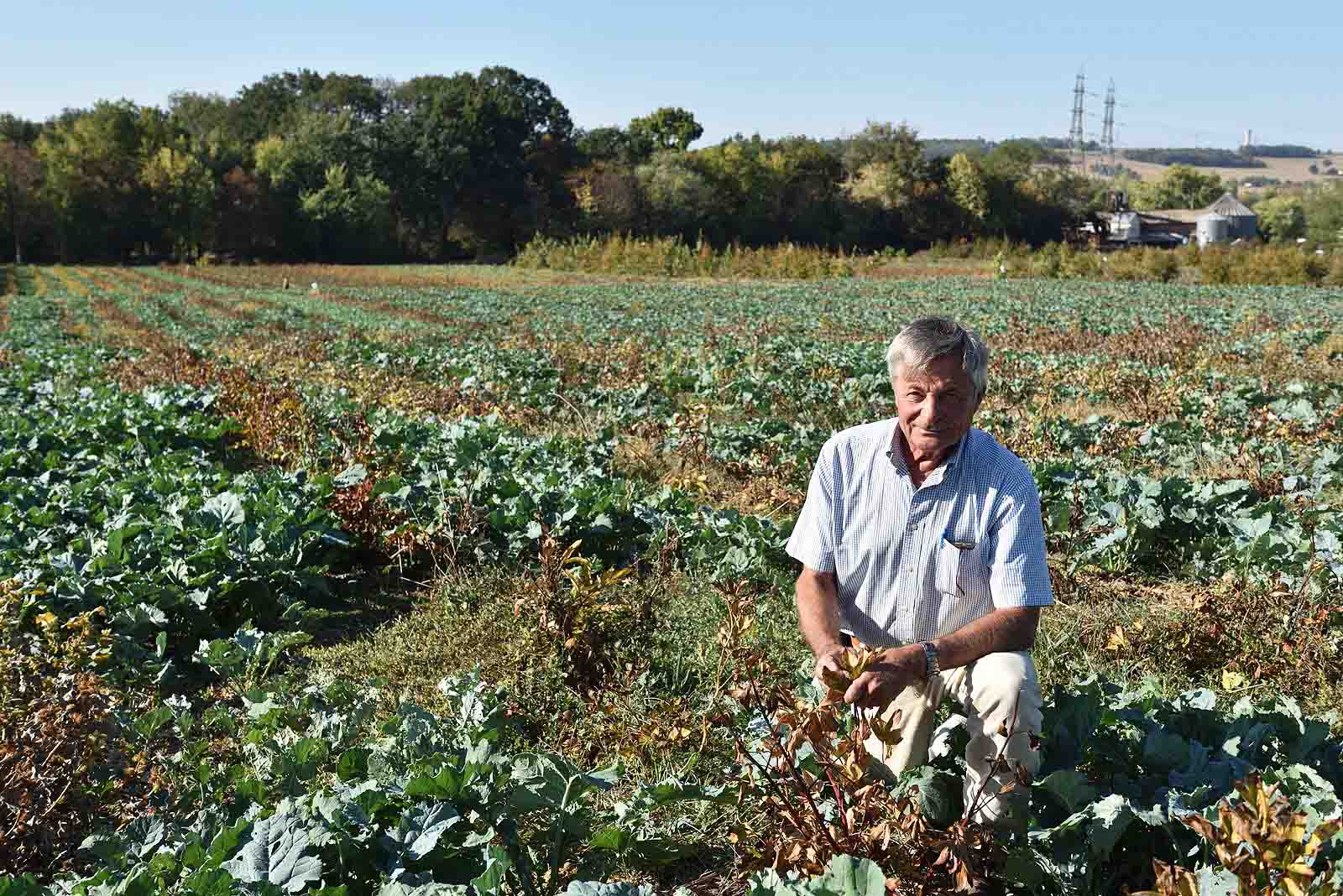 A69, l’autoroute des mensonges - POLITIS