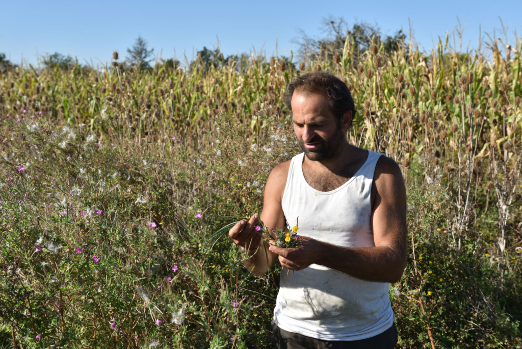 A69, l’autoroute des mensonges - POLITIS