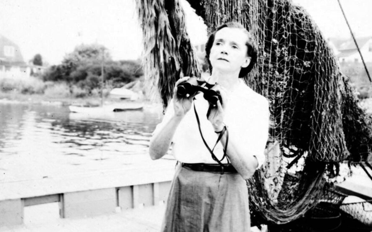 9 novembre : soirée Rachel Carlson à Paris - POLITIS