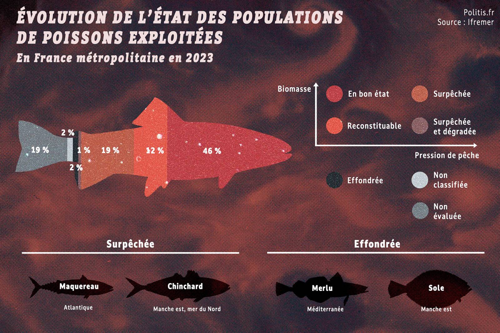 Surpêche : en France, les stocks s’épuisent, la pêche industrielle s ...